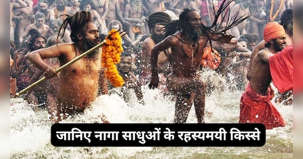 why naga sadhus do not wear clothes How to become a Naga Sadhu life ...