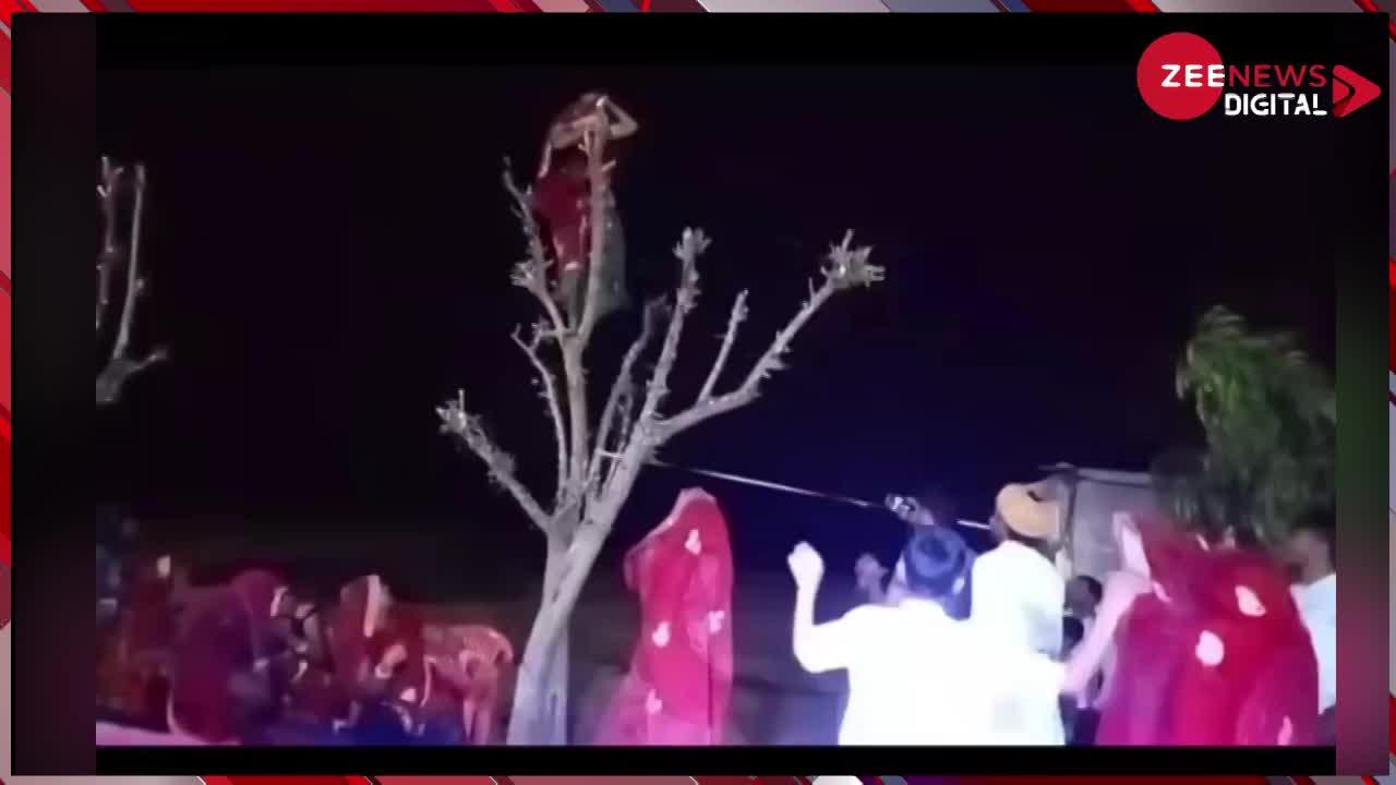 woman started dancing on tree in a wedding watch hilarious viral dance ...