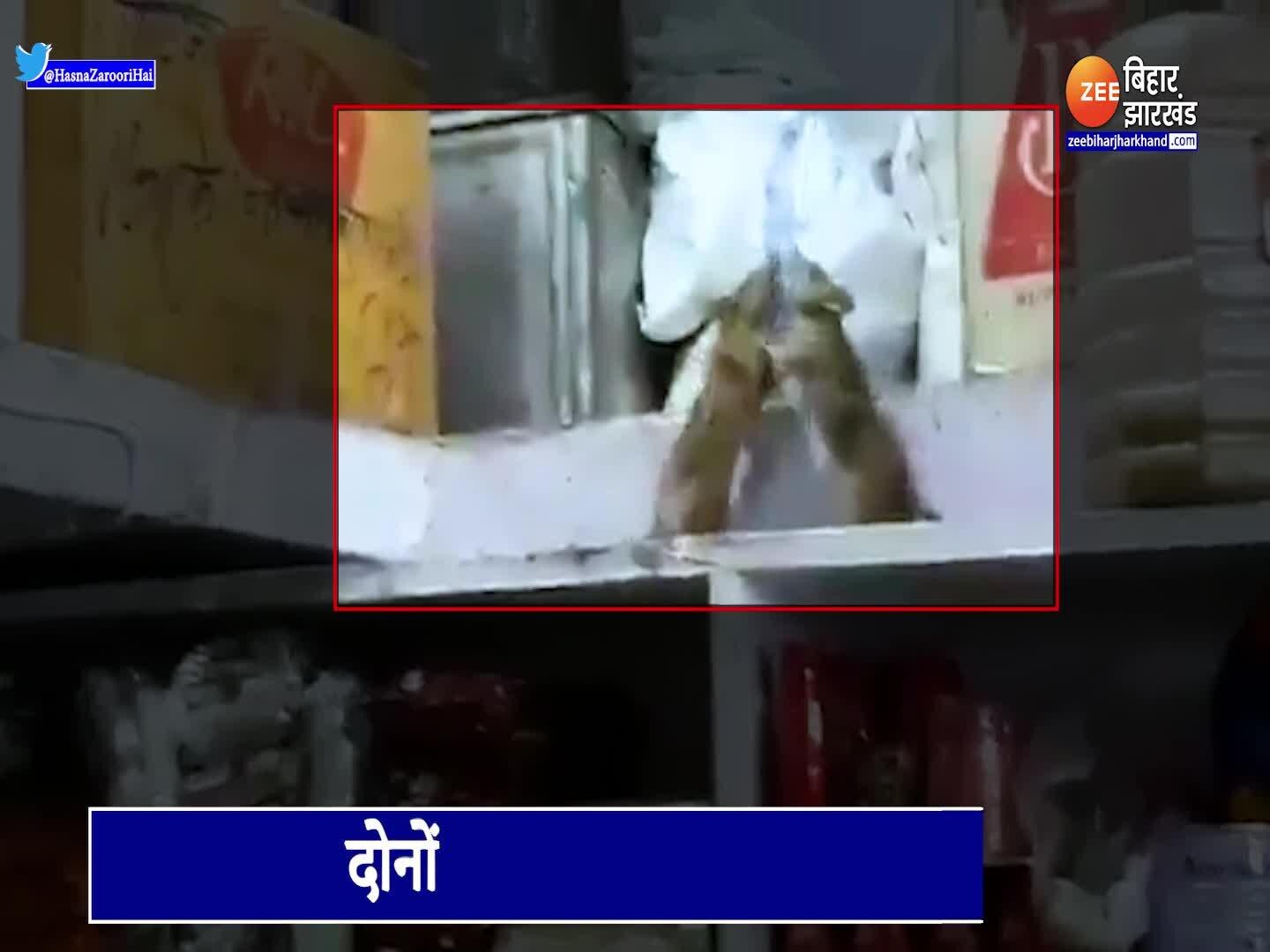 Viral Video Two rats fought fiercely funny video went viral | Viral ...