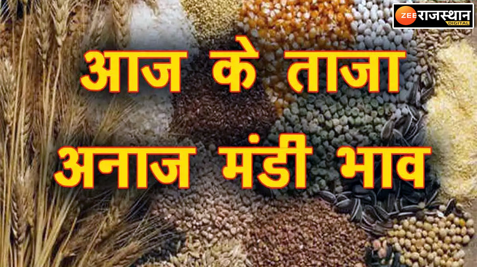 Nagaur-Merta mandi bhav know today latest price jeera jeans broke all ...