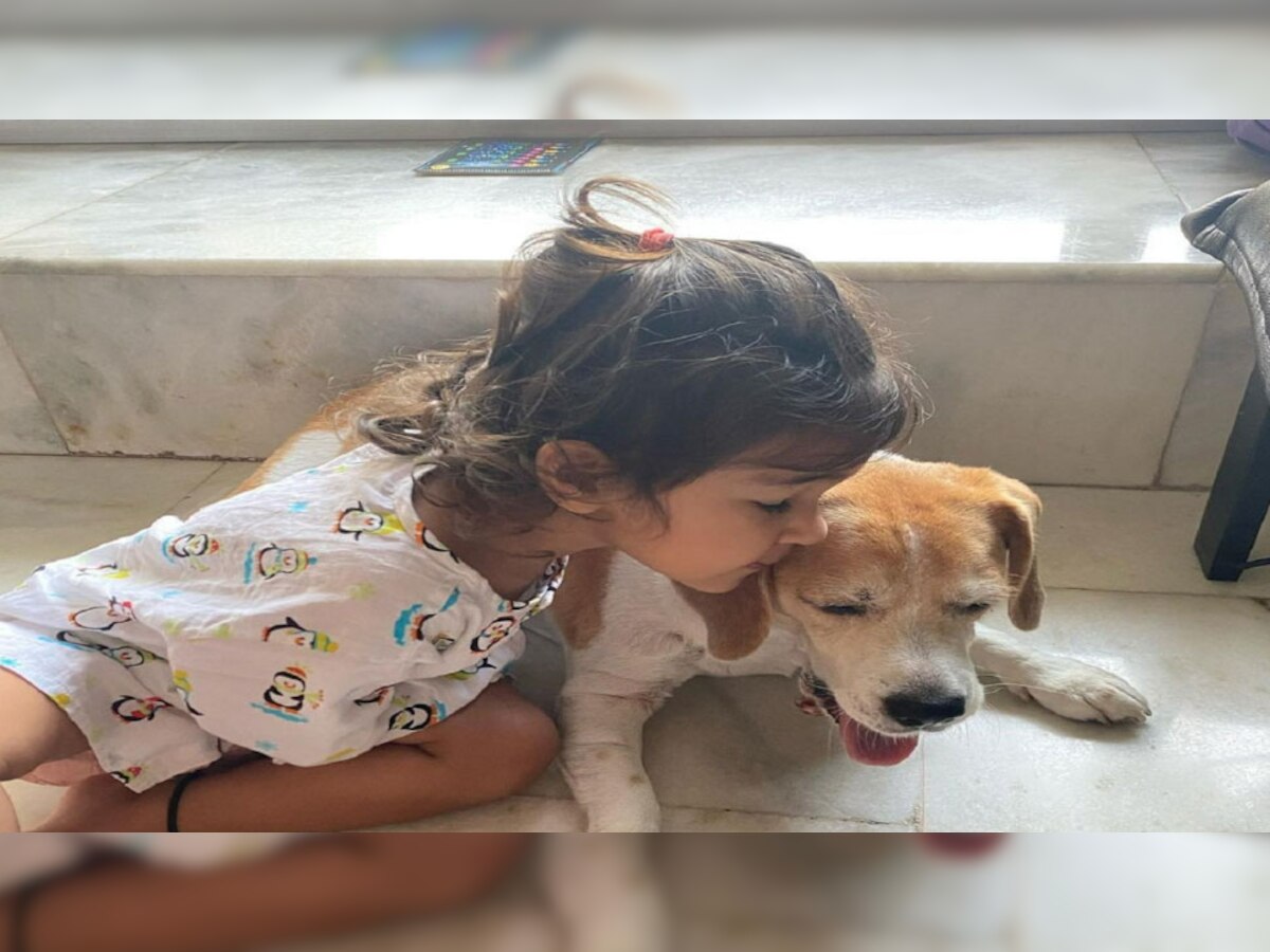 rohit sharma pet dog passes away before ind vs sl 1st odi match wife ...