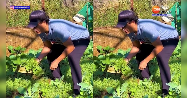 Sachin Tendulkar shared the video of his home garden many types of ...