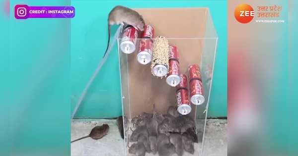Chuha Pakadne ka Desi Jugad unique machine for rat catching watch viral ...