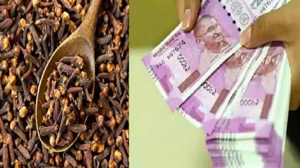 Laung Ke Upay Clove Remedies you earn fast By grace of Maa Lakshmi try ...