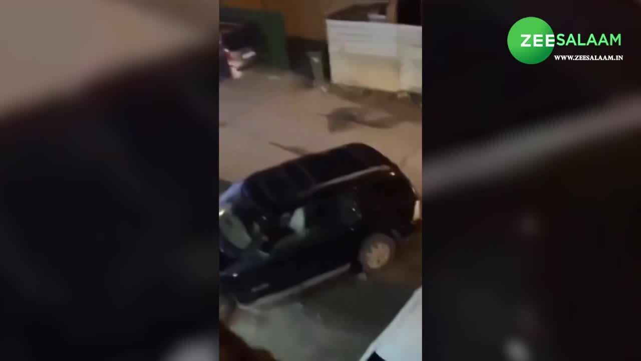 viral video rat digging hole in soil video goes viral on internet smzs ...