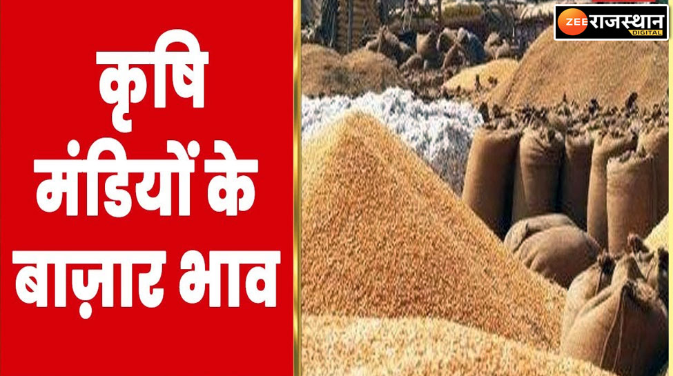 Rajasthan Mandi Bhav 10 largest agricultural produce market prices of ...