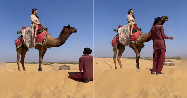 hilarious video of Shehnaaz Gill riding camel actress shouting as animal moves users laugh out ...