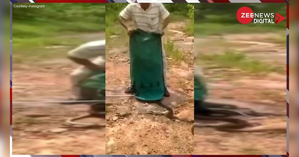 man carrying a bag full of snakes watch shocking viral video | Viral ...