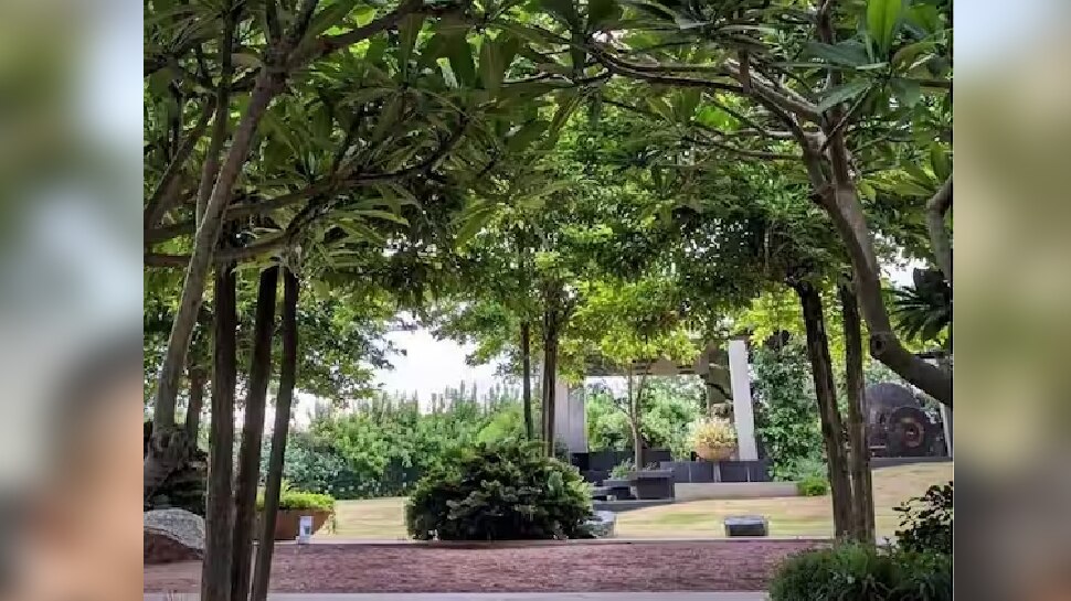 inside photos of ms dhoni farm house in ranchi tour of former captain ...