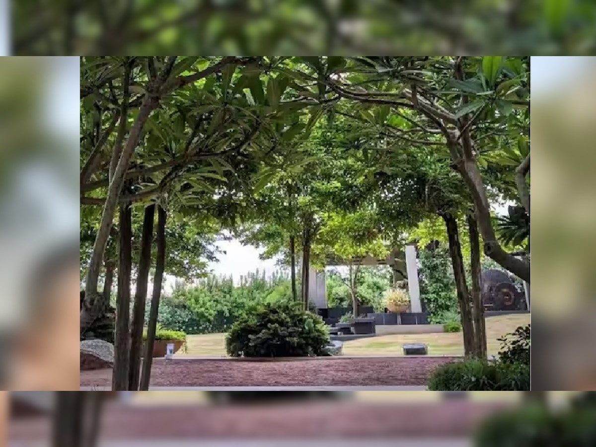 inside photos of ms dhoni farm house in ranchi tour of former captain ...