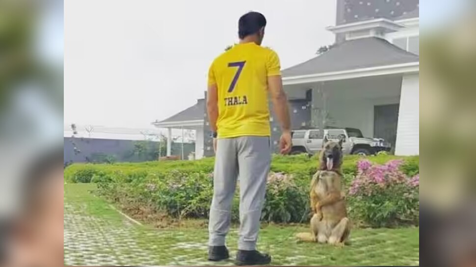 inside photos of ms dhoni farm house in ranchi tour of former captain ...