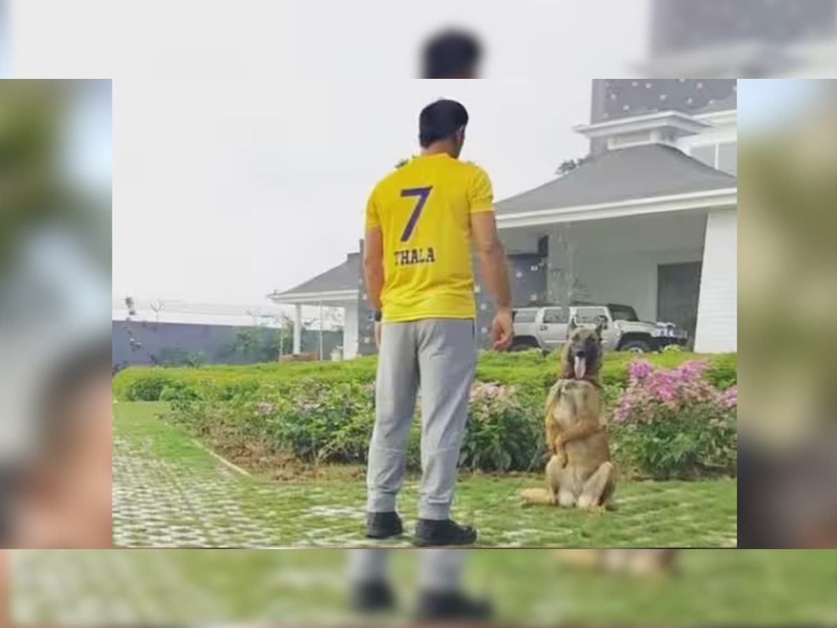 inside photos of ms dhoni farm house in ranchi tour of former captain ...