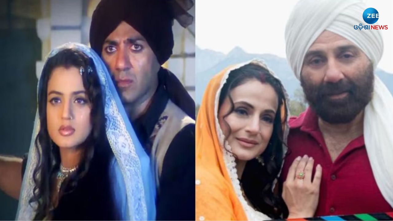 gadar 2 sakina aka ameesha patel uncontrollable in bikini sexy hot video tara singh can not ...