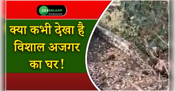 Have you seen the snakes house a huge python lives here in Rae Bareli Viral Video aaz