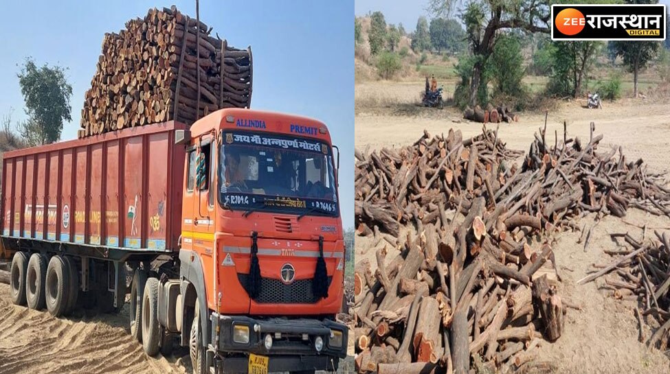 Dungarpur news Administration alert on cutting of green trees in Karada ...