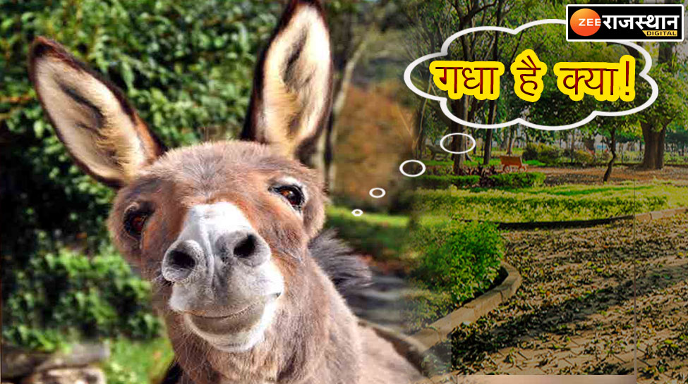 Science Facts are u donkey Know scientific meaning of being donkey ...