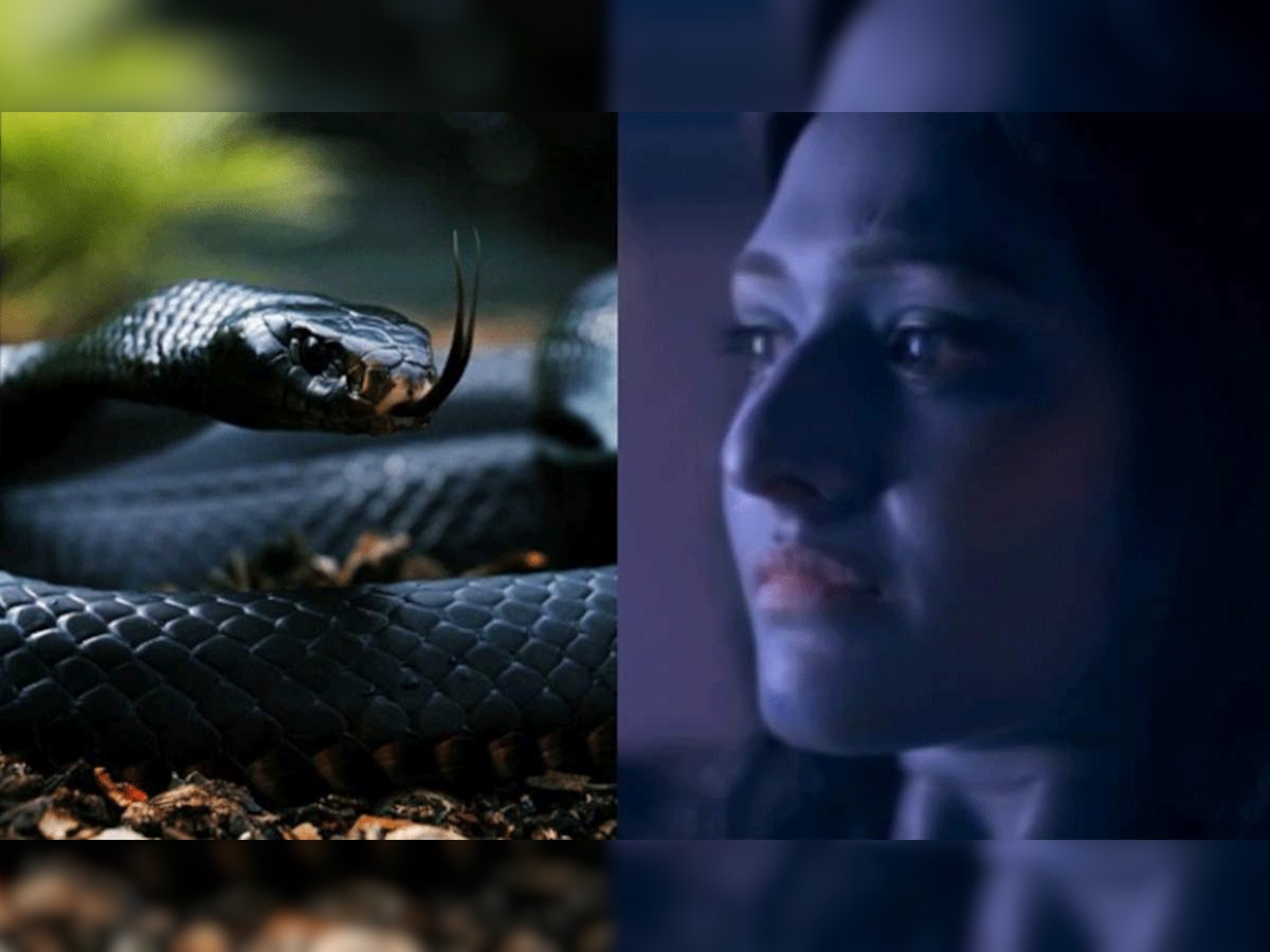 A Mystery and Untold truth of Vishkanyas honeytrap illusion of poisonous acts indian mythology ...