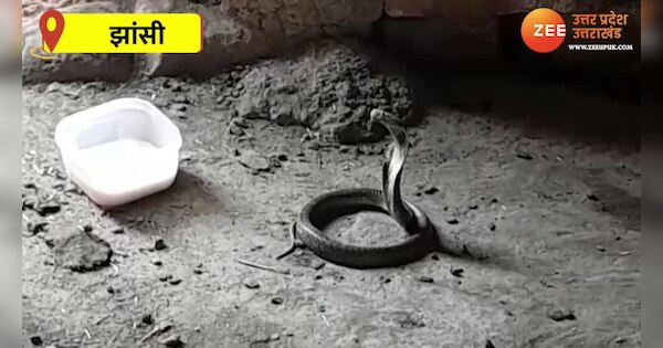 Ajab Gajab Jhanshi Not Nagpanchami but on Basant Panchami 2023 serpent ...