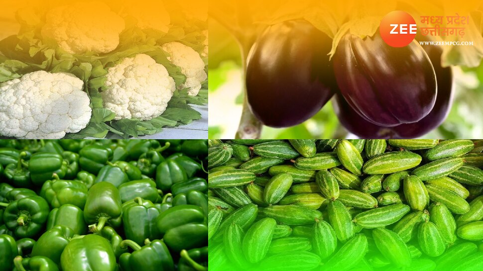 Deadly Worm that Can effect Brain health do not consume these ...