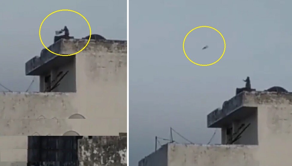 monkey flying kite on terrace of home people happy to see the viral ...