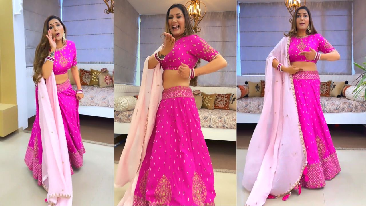 Sapna Choudhary Video Sapna Choudhary wearing a pink ghaghar choli did ...