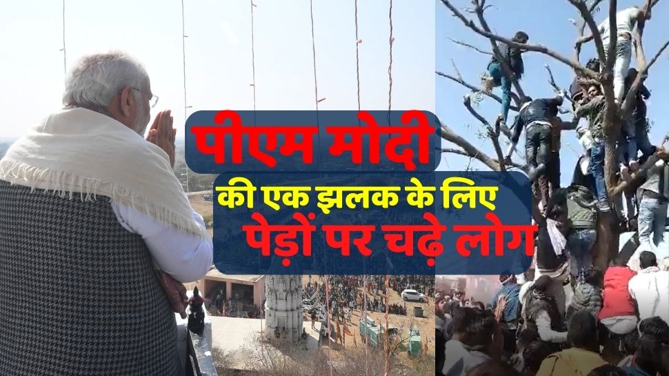 PM Modi in Bhilwara Youth climbed trees for a glimpse of PM Narendra ...