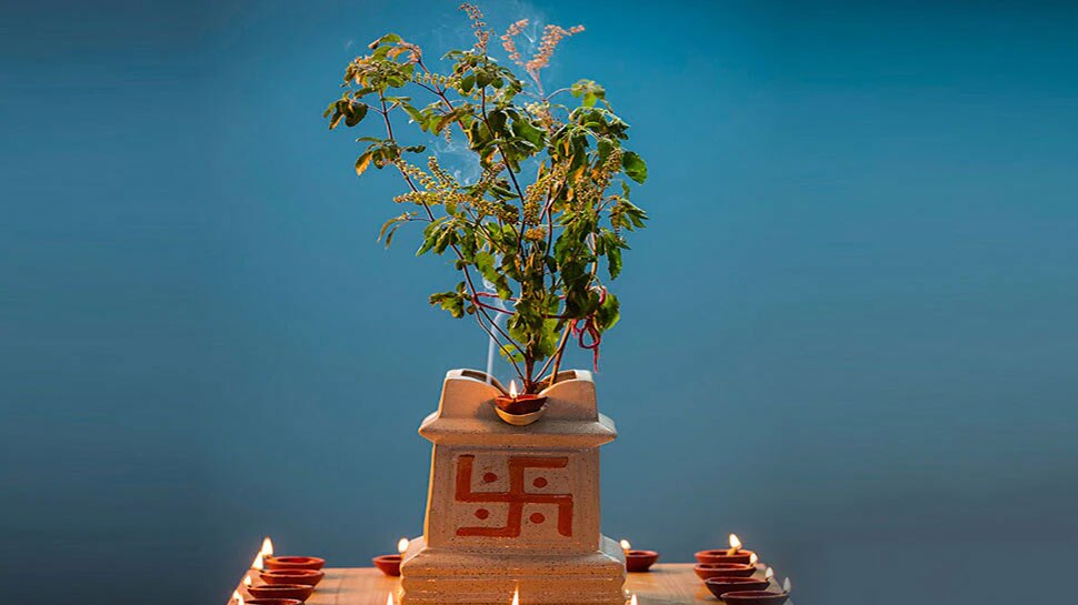 basil Plant Benefits tulsi pot symbols get good luck blessings of ...