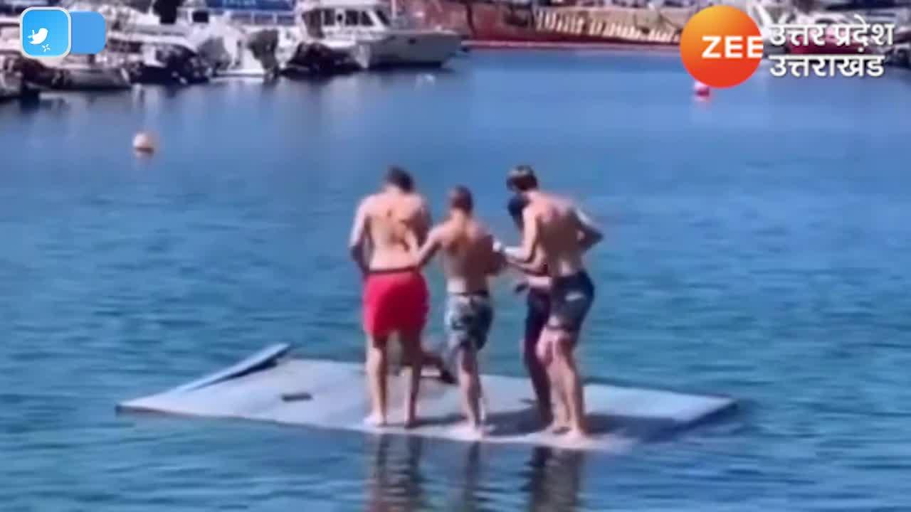 otter viral video with tourists in swimming pool udbilav ka funny video ...