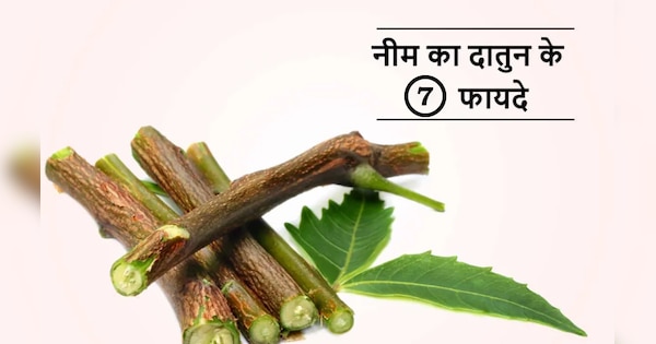 neem ke datun ke fayde | नीम का दातुन करने से होते हैं ये फायदे