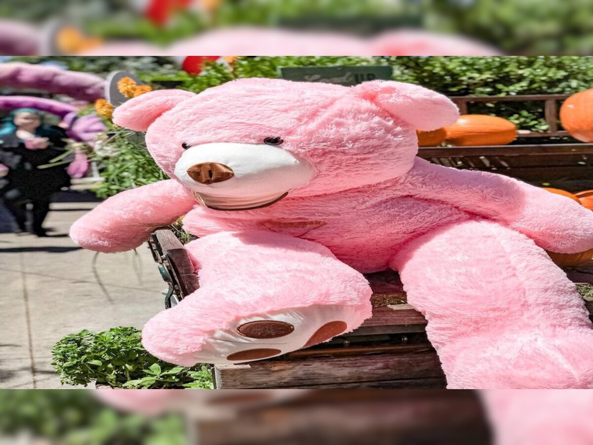 teddy day 2023 Before giving Teddy Bear partner loved Teddy Day history ...