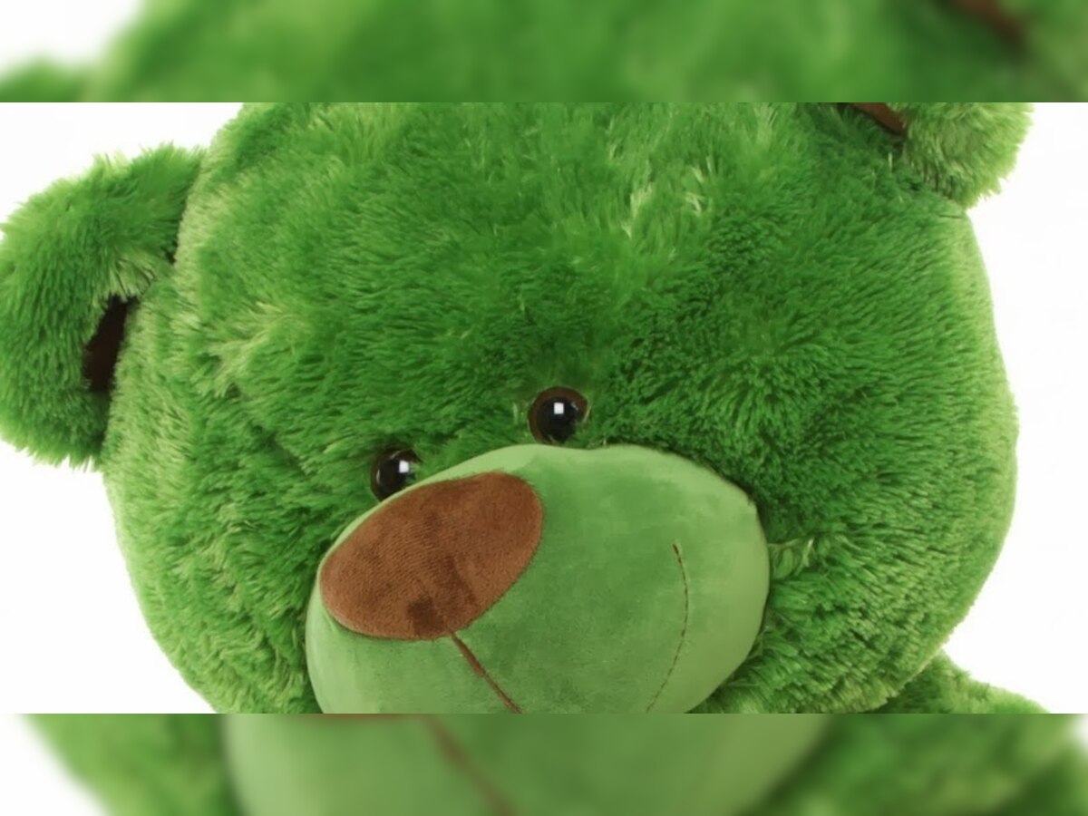 teddy day 2023 Before giving Teddy Bear partner loved Teddy Day history ...