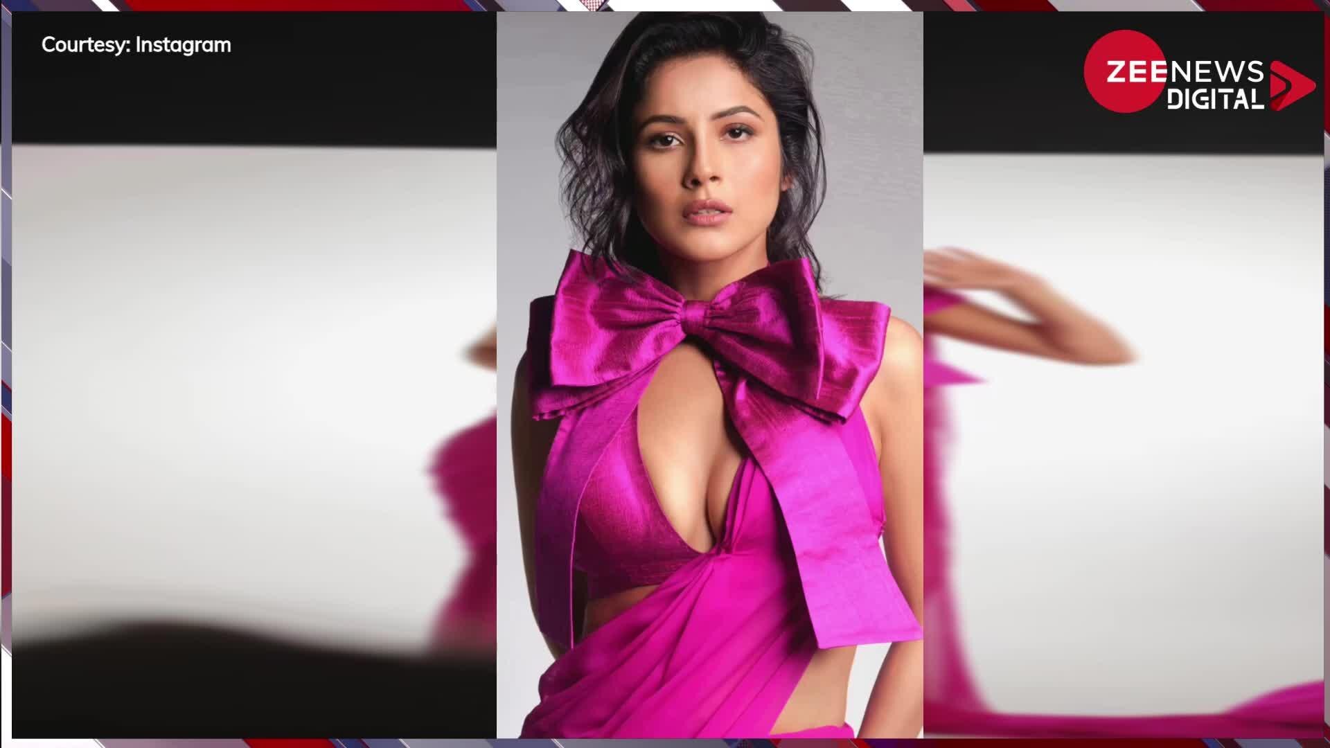 Shehnaaz Gill Expose Her Sexy Breast In Braless Pink Saree Flaunts Hot