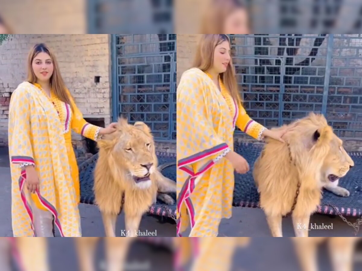 trending Hasina caressing ferocious lion like dog see shocking video ...