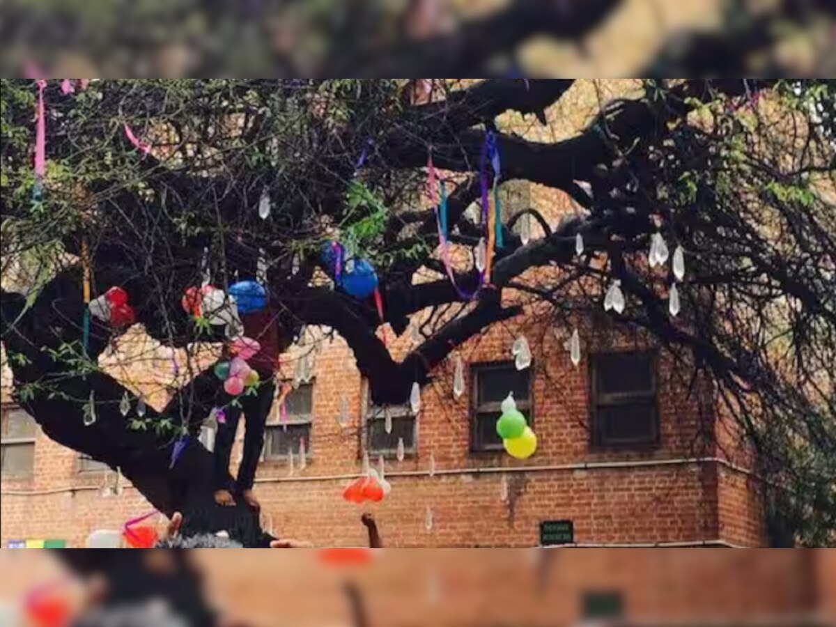 Virgin Tree puja: Students of this Hindu college worshiped the Virgin ...