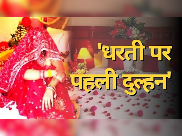 Who got married for the first time on earth Who were the first bride ...