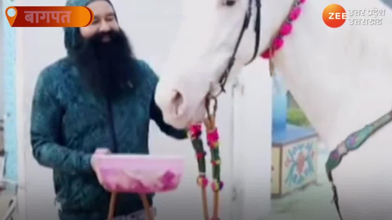 Gurmeet ram rahim viral video Running and riding horse in barnawa ...