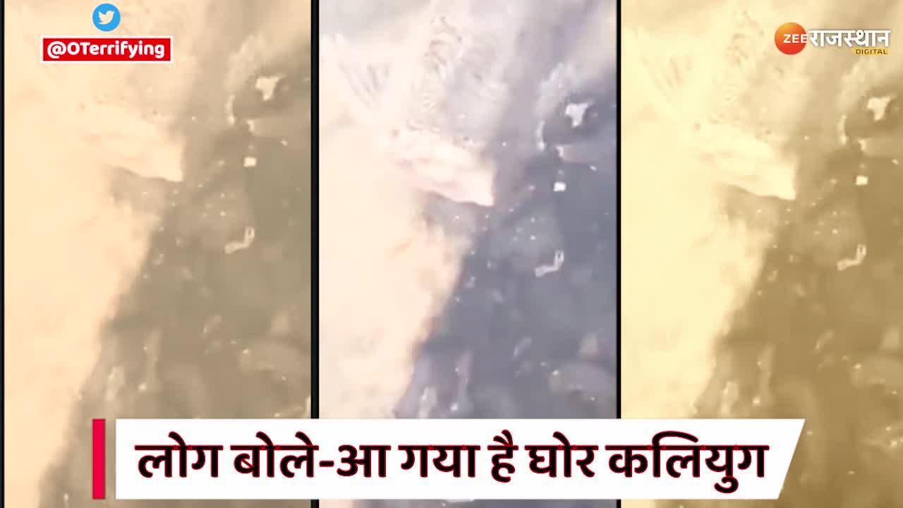 Viral Video headless fish was seen swimming beheaded bird took flight ...