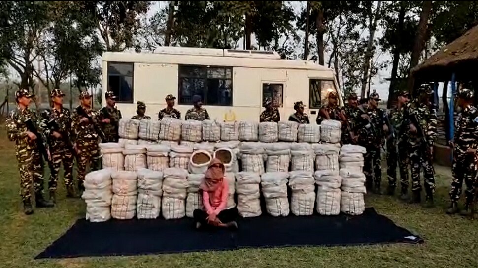 800 kg ganja recovered in Supaul by ssb on india Nepal border smuggler ...