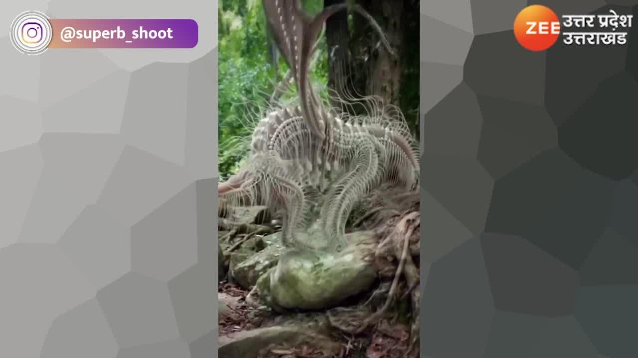 Strange scary creature looking like dinosaur octopus spread panic Viral ...