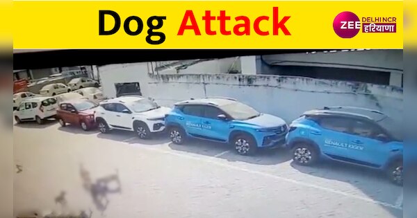 Hyderabad street dogs attack on 4 year old child dog bite case viral ...
