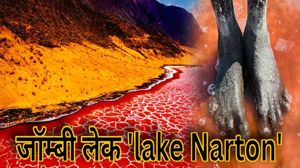 Do you know lake natron zombie lake is most dangerous lake in world ...