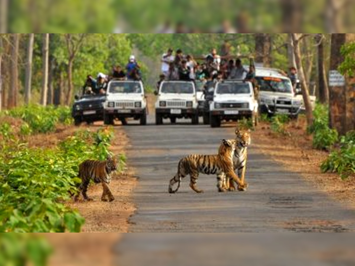 Seoni which the home of Mowgli its Cheap tourist places to visit with ...