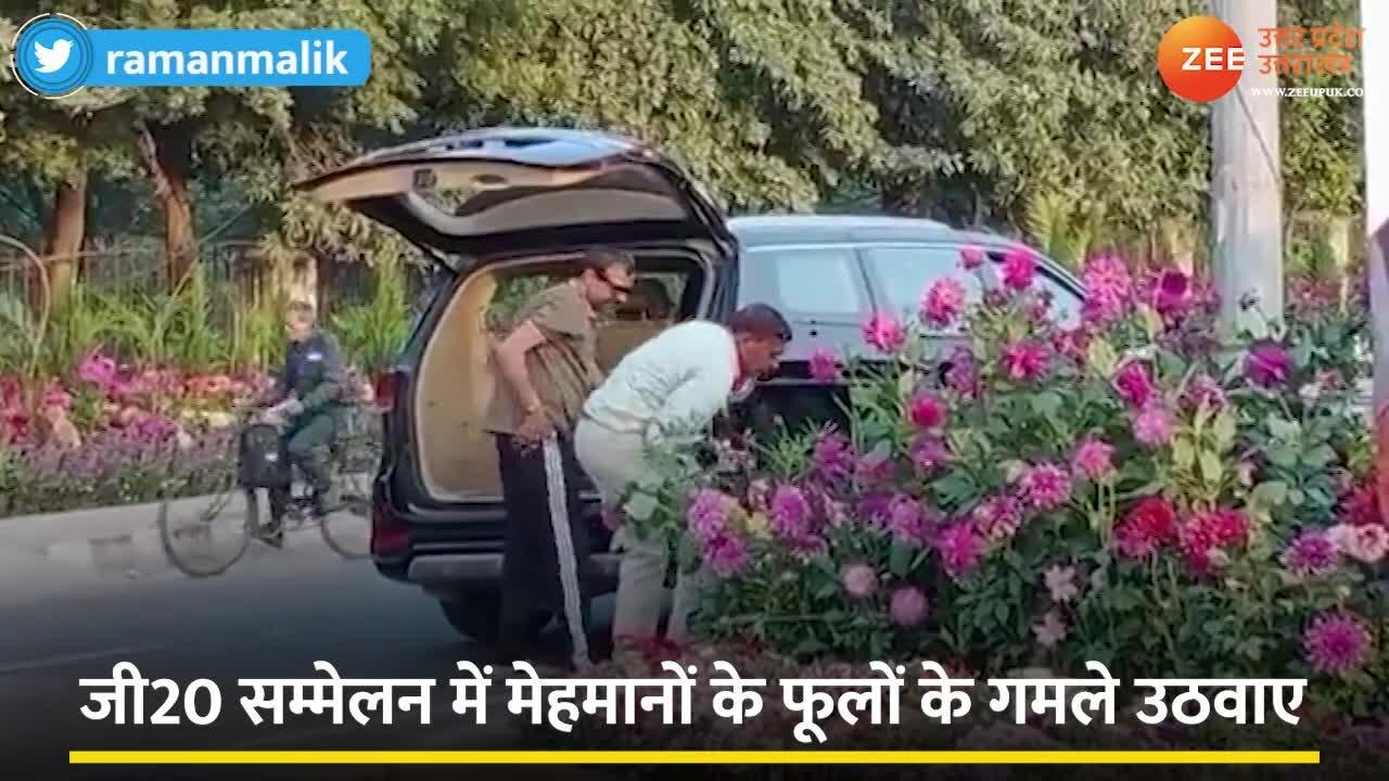 Gurugram Gamla Chor officer arrested after viral video stealing G20 flowerpot | गुरुग्राम का ...
