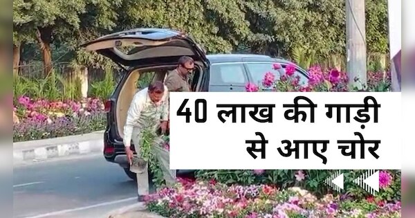 Gurugram Police arrested man in G20 Flower Pots Theft Case | महंगी ...