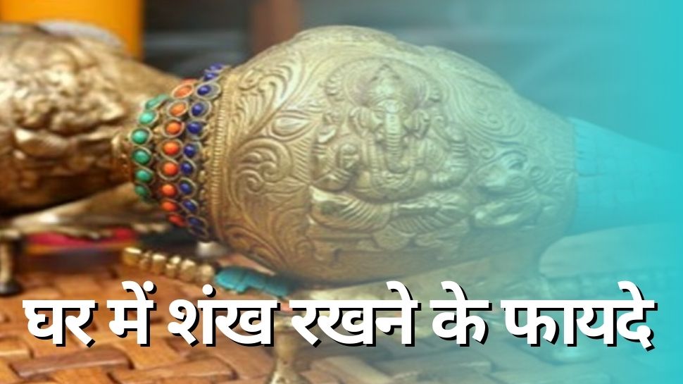conch importance keep these types of shankh bring happiness and ...