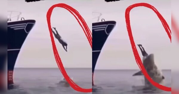 trending today scandal happened as soon as he jumped shocking viral ...