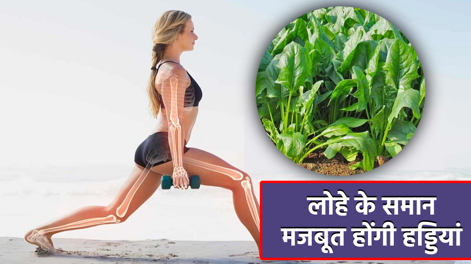 Green Vegetable Palak Makes Bones Strong Like Iron Spinach Benefits green-vegetable-palak-makes-bones-strong-like-iron-spinach-benefits