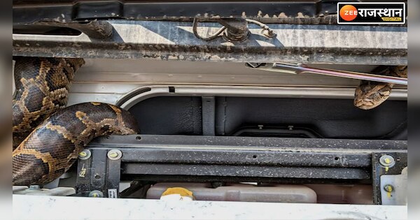 10 feet long python reached Rajasthan from Uttarakhand stuck in truck ...