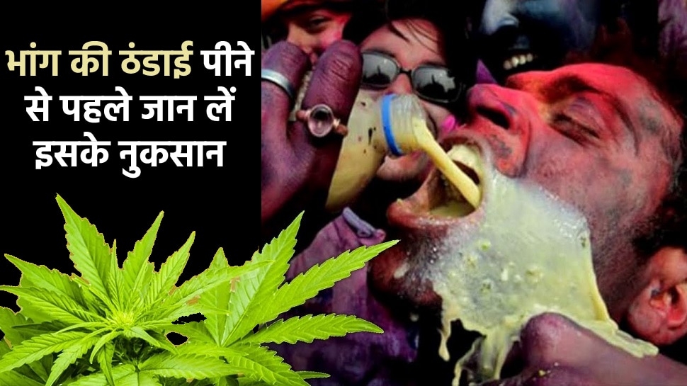 Holi 2023 Bhang Side Effects Bhang Thandai Can Effects Your Brain Negatively And Slow Down The