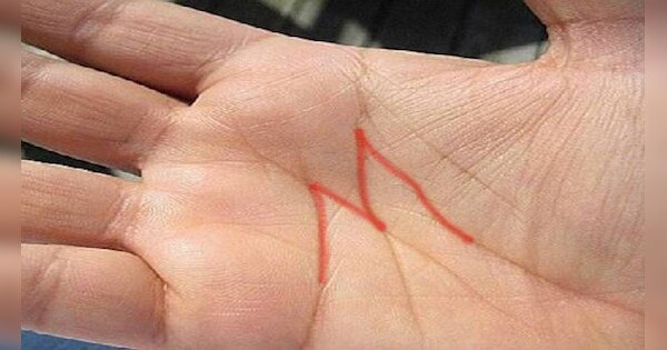 Palmistry: हथेली में इस जगह पर हो 'M' का निशान तो व्‍यक्ति जरूर बनता है ...